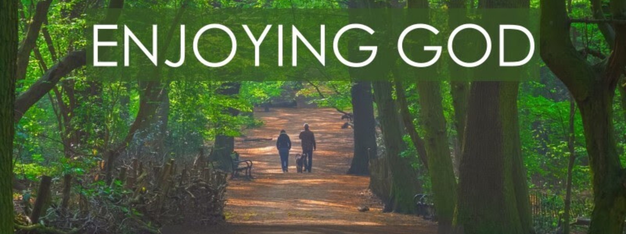 Hill Cliffe Baptist Church : Hill Cliffe Baptist Church