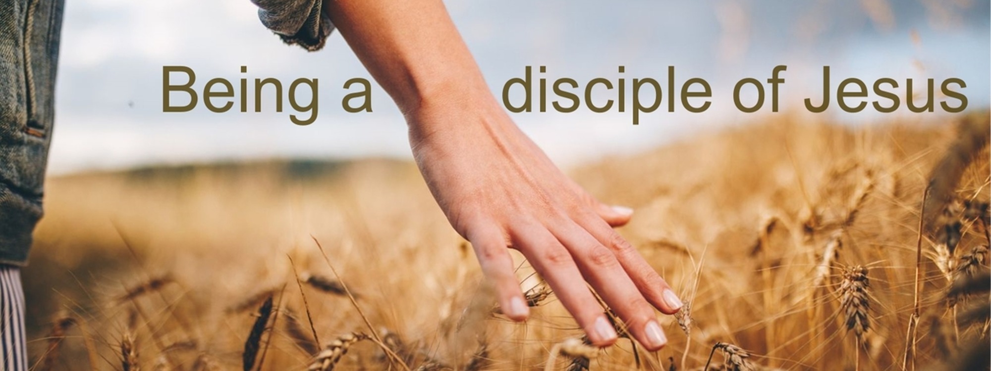 Hill Cliffe Baptist Church : Hill Cliffe Baptist Church